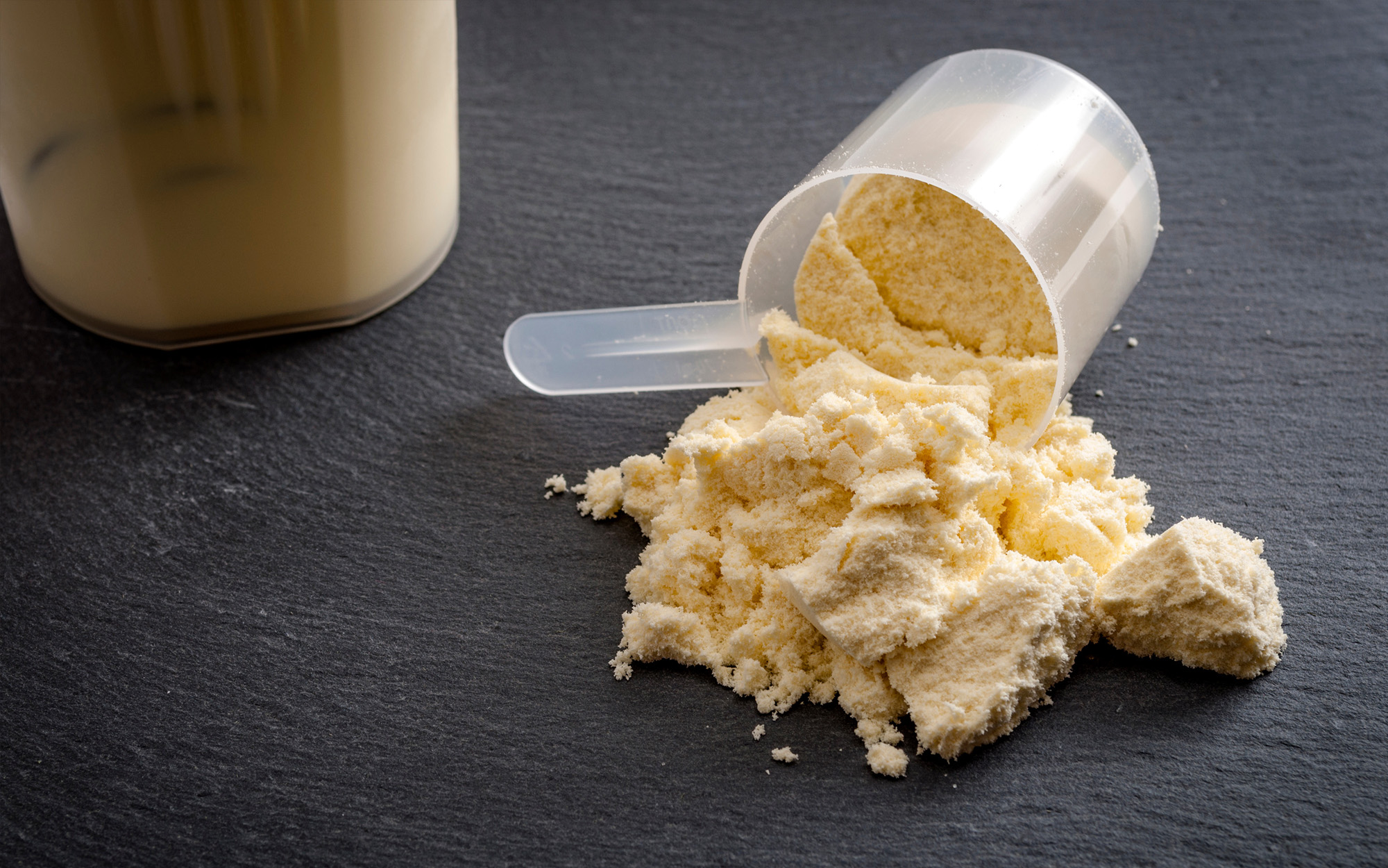 The Impact of Processing on the Quality of Protein Powders